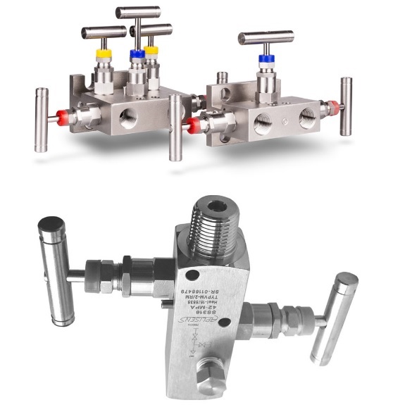 VM1-2-3-5 | Pressure Transmitter Manifolds | Aplisens | Wolf Process ...